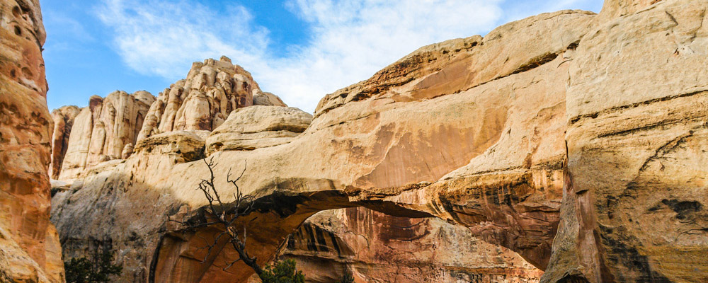 Capitol Reef National Park Road Guides - National Parked