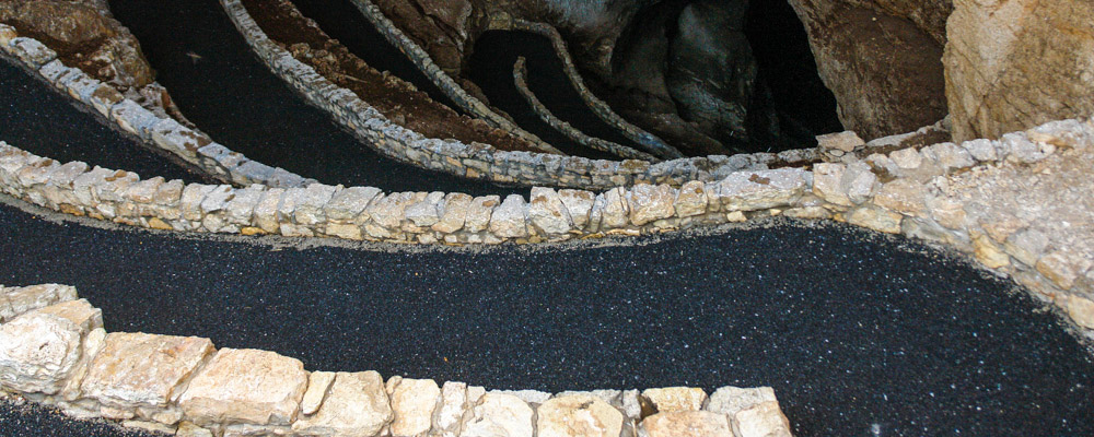 Carlsbad Caverns National Park Trail Maps - National Parked