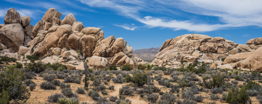 Joshua Tree National Park Lodging & Rentals - National Parked