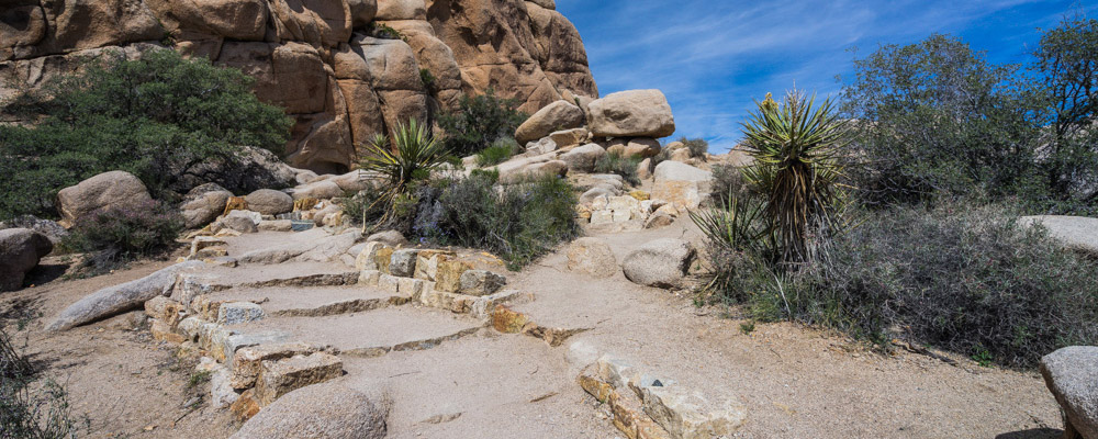 Joshua Tree National Park Hiking Trails - National Parked