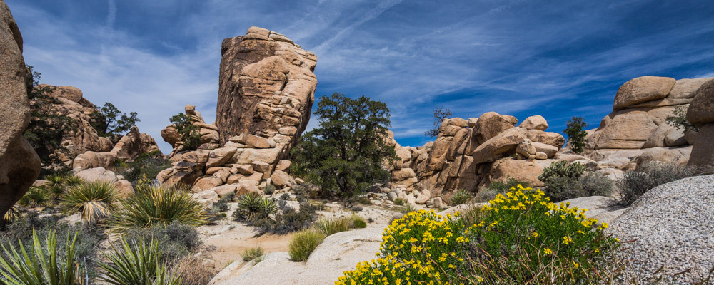 Joshua Tree National Park Weather Stats & Forecast - National Parked