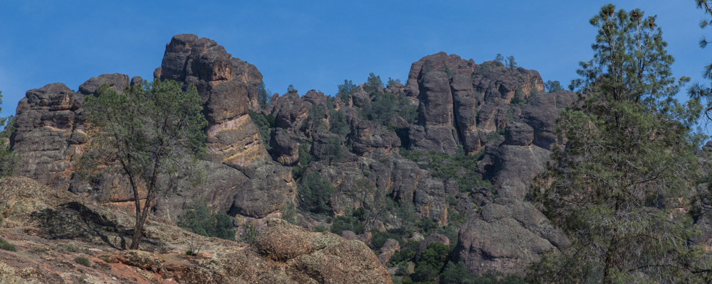 Pinnacles National Park Fast Facts - National Parked