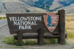Yellowstone National Park South Entrance Road - National Parked